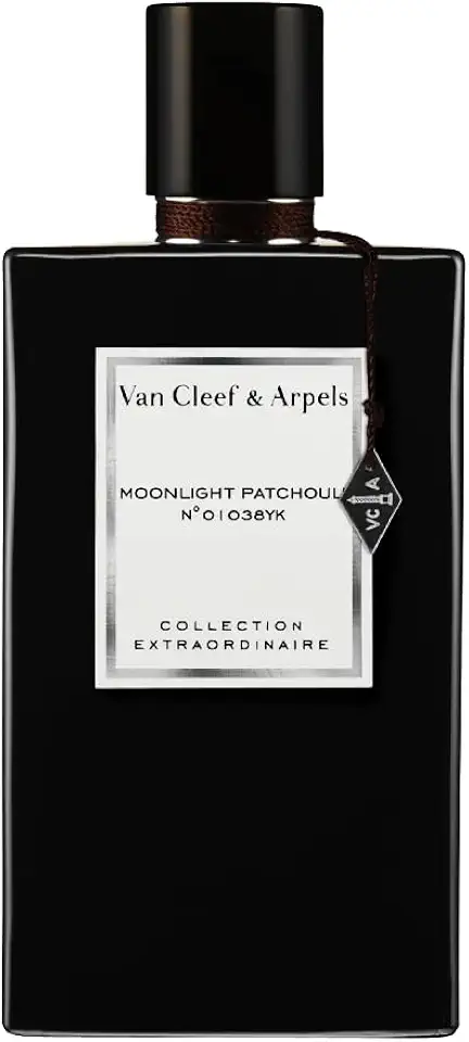 Unveiling The Symbolic Meanings Behind Van Cleef & Arpels Jewelry ...