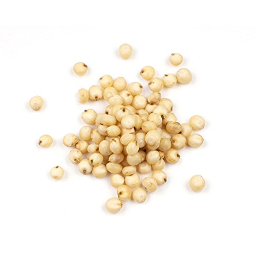 Amazon.com: Anna and Sarah Milo White Sorghum grain in Resealable Bag, 1 Lb