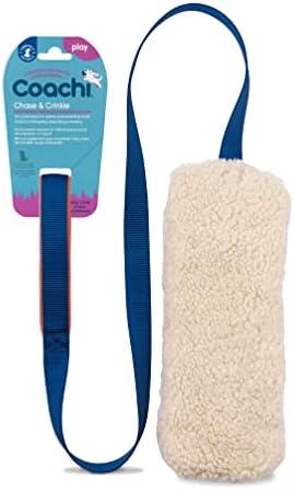 SwiftPaws - Home Original - Remote-Control Chase Toy - for Dogs - Flag ...