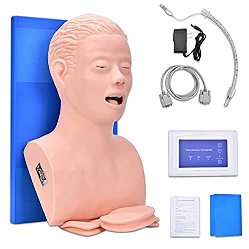 Buy Anatomy Manikin Teaching Model, Intubation Oral Nasal Airway ...