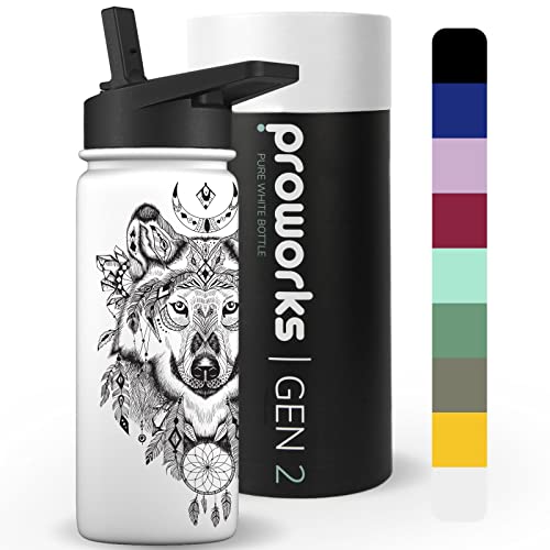 Proworks Gen 2 Insulated Water Bottles with Straw Lid | 540ml Stainless ...