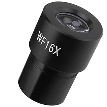 Microscope Eyepiece, Walfront DM-WF009 WF16X Magnification Bio ...