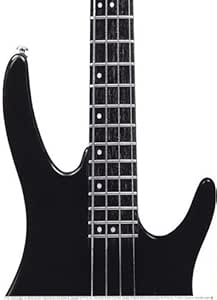 Amazon.com: Electric Bass - Poster by Michel Ditlove (5x7) : Home & Kitchen