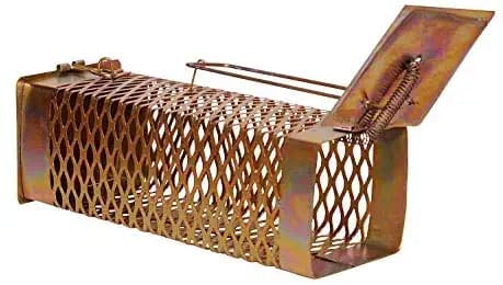 Rat Trapper, Rat Control, Rat Catcher, Rodent Control, Mouse Catcher ...