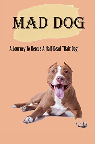 Dead Bait – Die 15 besten Produkte im Vergleich - Die besten Angel ...