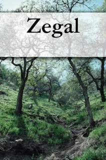 Zegal: Meneva Hoffman: 9781458390110: Amazon.com: Books