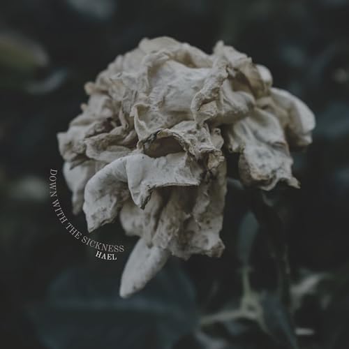 Amazon Music Unlimited - Hael 『Down with the Sickness』