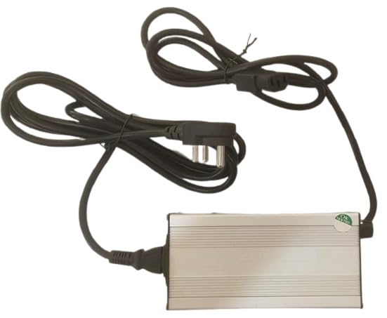 OKAYA Electric Vehicle Charger for 2 Wheelers Okaya OLBC 6008 (48V,8A ...