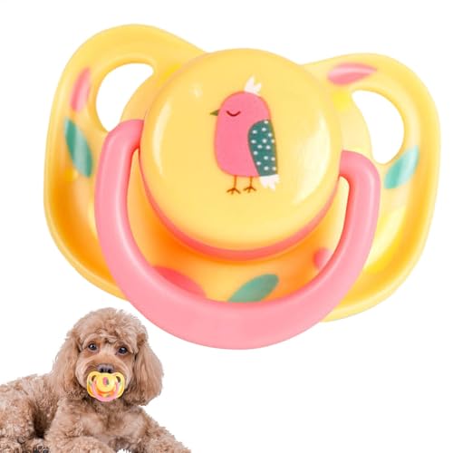 10 Best Pacifiers for Kittens That Will Keep Your Feline Friend Happy ...