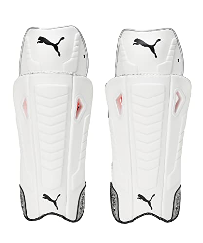 Puma Mens Future 1 Wicket Keeping Pads, Neon Citrus-Bluemazing, M ...