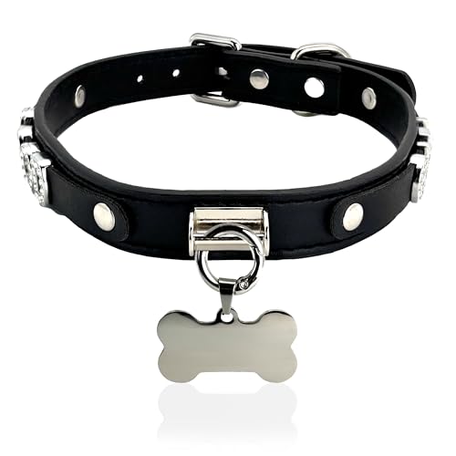 Leash and Collar for Humans – The 15 best products compared - Wild ...