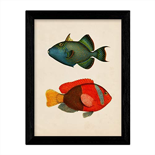 Nacnic Set 4 sheets of fish vintage colorful effect. Mediterranean ...