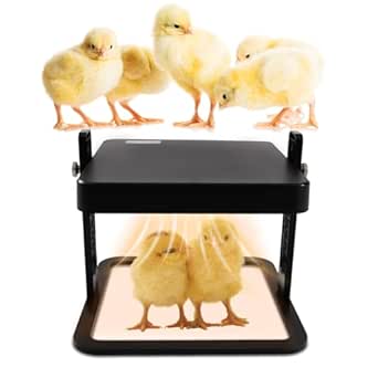 Chick Brooder Heating Plate, 13W Chick Brooder Heat Plate, 10x10 inch ...