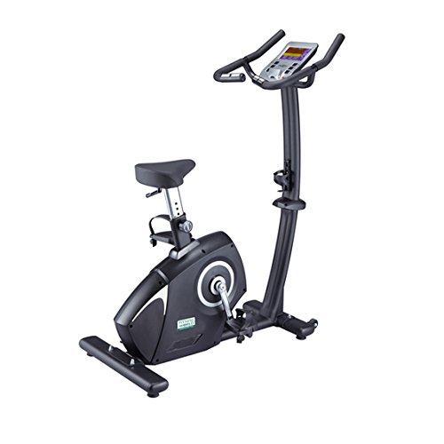 Buy Hailey Upright Bike Online at Low Prices in India - Amazon.in