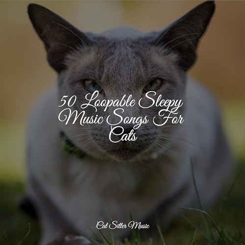 Play 50 Loopable Sleepy Music Songs For Cats by Jazz Music for Cats ...