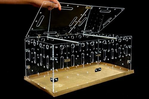GuineaLoft™ Acrylic Cage (Model-C) - Starter Cage w/Lid for Guinea Pigs ...