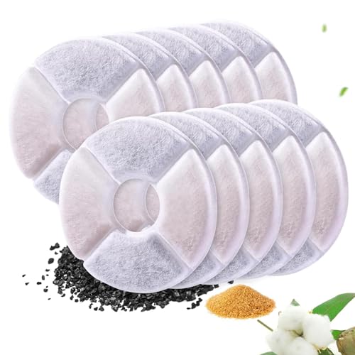 Cat Filter – The 15 best products compared - Wild Explained