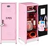 Amazon.com: Vercraft 2 Pcs Mini Locker with Lock and 2 Keys 10.8 Inch ...