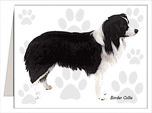 Amazon.com: Border Collie Note Cards : Handmade Products