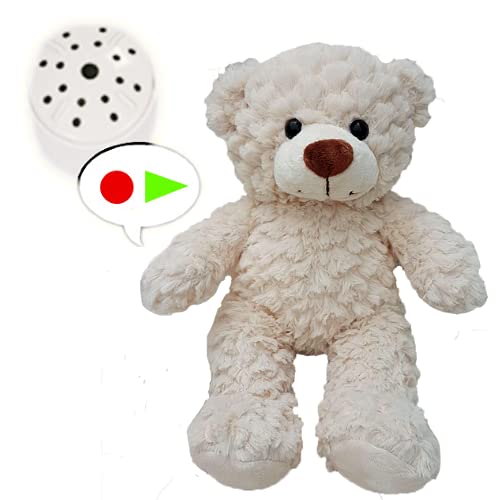 10 Best Recorder For Teddy Bears 2024 | There's One Clear Winner ...
