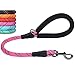 Amazon.com : VIVAGLORY Short Dog Leash with Comfortable Padded Handle ...