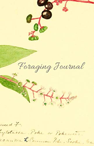Foraging Journal: 200 pages college ruled 5.5x8.5 foraging journal wild ...