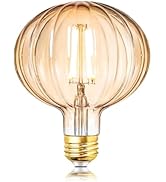 SD LUX Oversized Vintage Giant LED Light Bulb Huge Edison Bulb ...