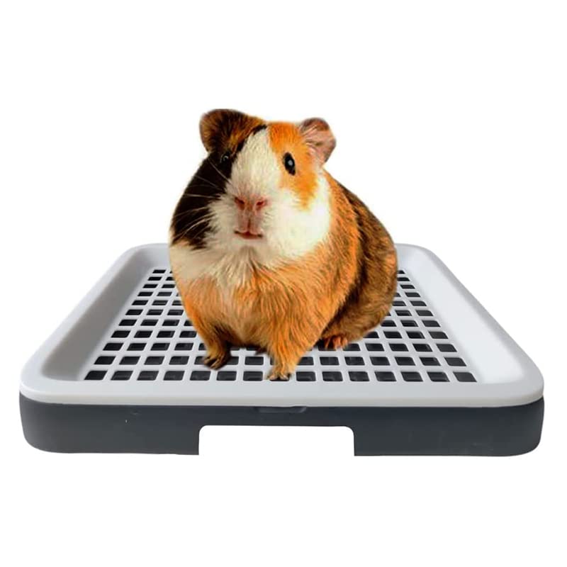 Buy SHOPANTS Guinea Pig Litter Pan with Grate, Small Animal Litter Box ...