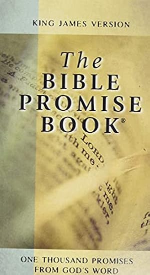 The NLT Bible Promise Book for Men (Softcover): Beers, Ronald A., Mason ...