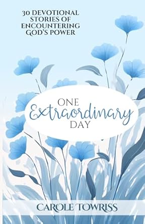 One Extraordinary Day: 30 Stories of Encountering God’s Power: Towriss ...