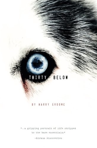 Amazon.com: Thirty Below: 9780979741555: Groome, Harry: Books