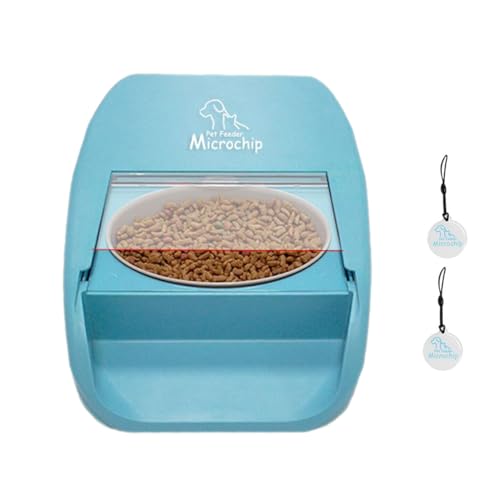 10 Best Microchip Cat Feeder