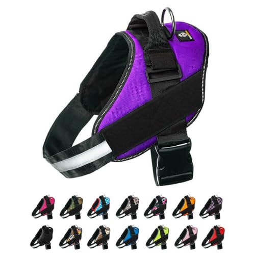 Easy Dog Harness – The 15 best products compared - Wild Explained