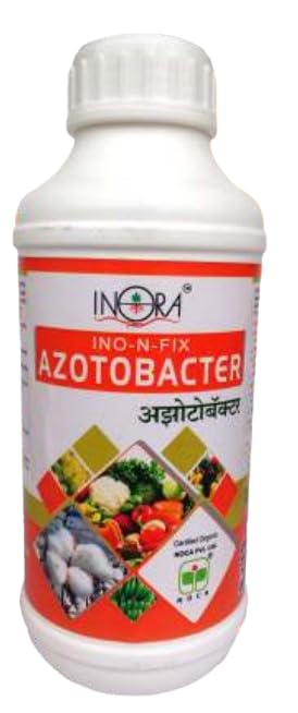INORA BIOTECH INO-N-FIX Azotobacter | (1 Ltr) : Amazon.in: Garden ...