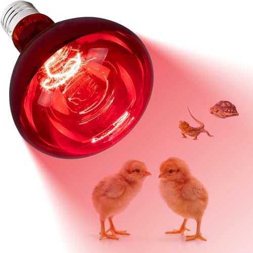 Amazon.com: LUCKY HERP Infrared Heat Lamp for Chickens - 250 Watts Red ...