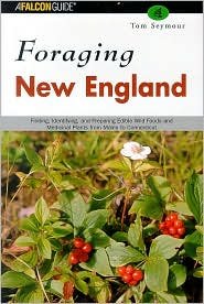 Foraging New England 1st (first) edition Text Only | Amazon.com.br
