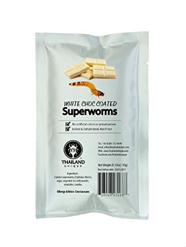 ecoEat Edible Bugs White Chocolate Covered Superworms, 20g, Snack Food ...
