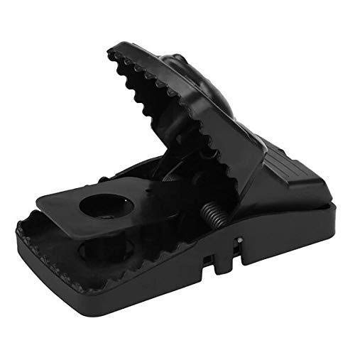 Highboy Reusable Plastic Portable Rat/Mice/Mouse Trap : Amazon.in ...