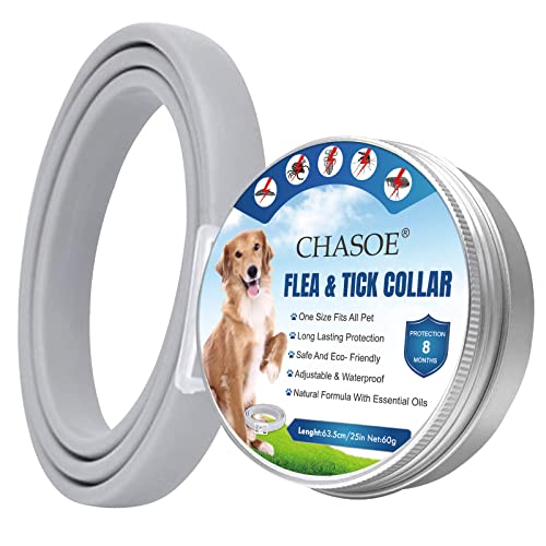 Stronghold Chien – Les 15 meilleurs produits dans la comparaison ...