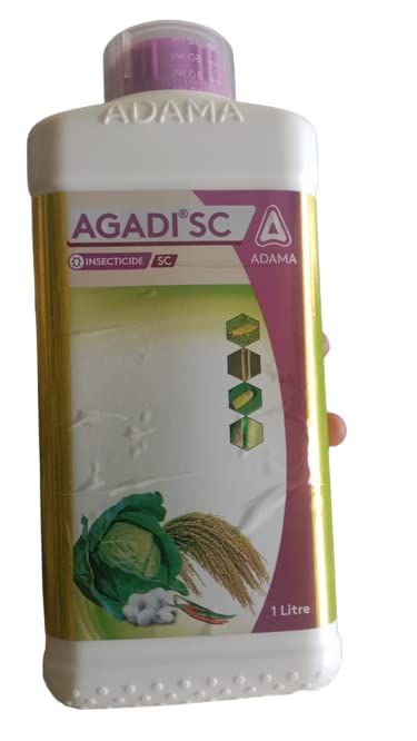 AGADI. SC. 1KG : Amazon.in: Health & Personal Care