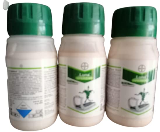 MANIKANTA Traders SARTIK 250 GM : Amazon.in: Health & Personal Care