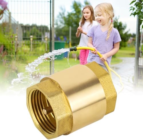 DMJJSD Universal Rückschlagventil 1 Zoll, Rücklaufventil aus Messing ...