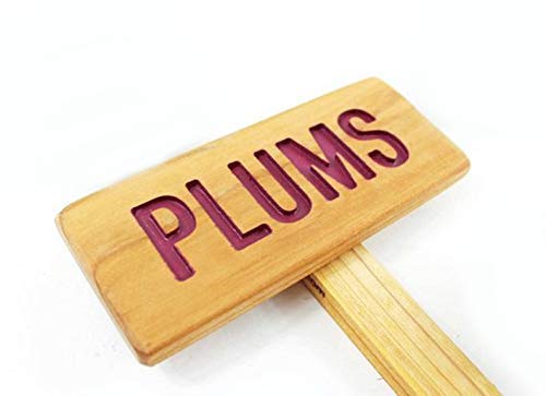 Amazon.com: PLUMS Rustic Fruit Tree Sign, Hand Routed, garden sign ...