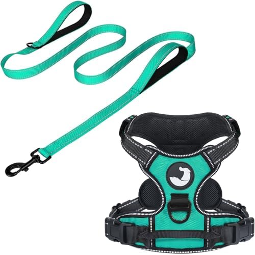 Amazon.com : 6FT Double Handle Dog Leash for Training and Dog Harness ...