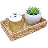 Amazon.com: Rectangle Water Hyacinth Tray, Rectangular Tray, Wicker ...