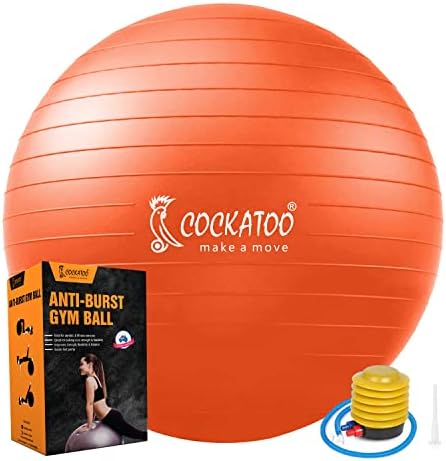 Cockatoo Anti-Burst Gym Ball with Foot Pump, Rubber Exercise Ball (55 ...