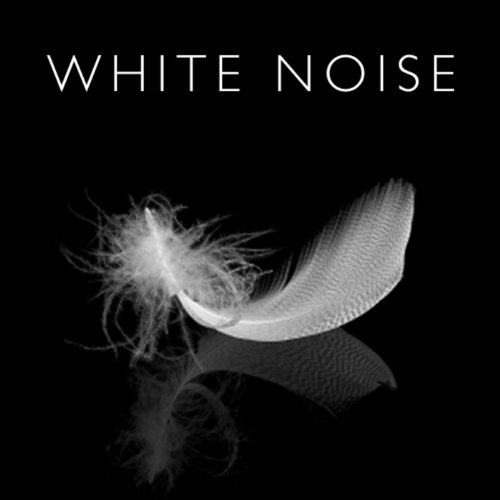 Amazon.com: White Noise Loops for Sleep : Sounds for Life: Digital Music