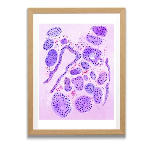 Amazon.com: Bladder Histology Pathology Artwork, Gift for Urologist and ...