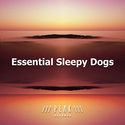 Play Essential Sleepy Dogs by Sleepy Dogs on Amazon Music