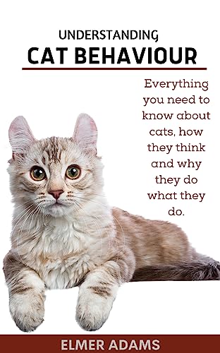 UNDERSTANDING CAT BEHAVIOUR: Everything you need to know about cats ...
